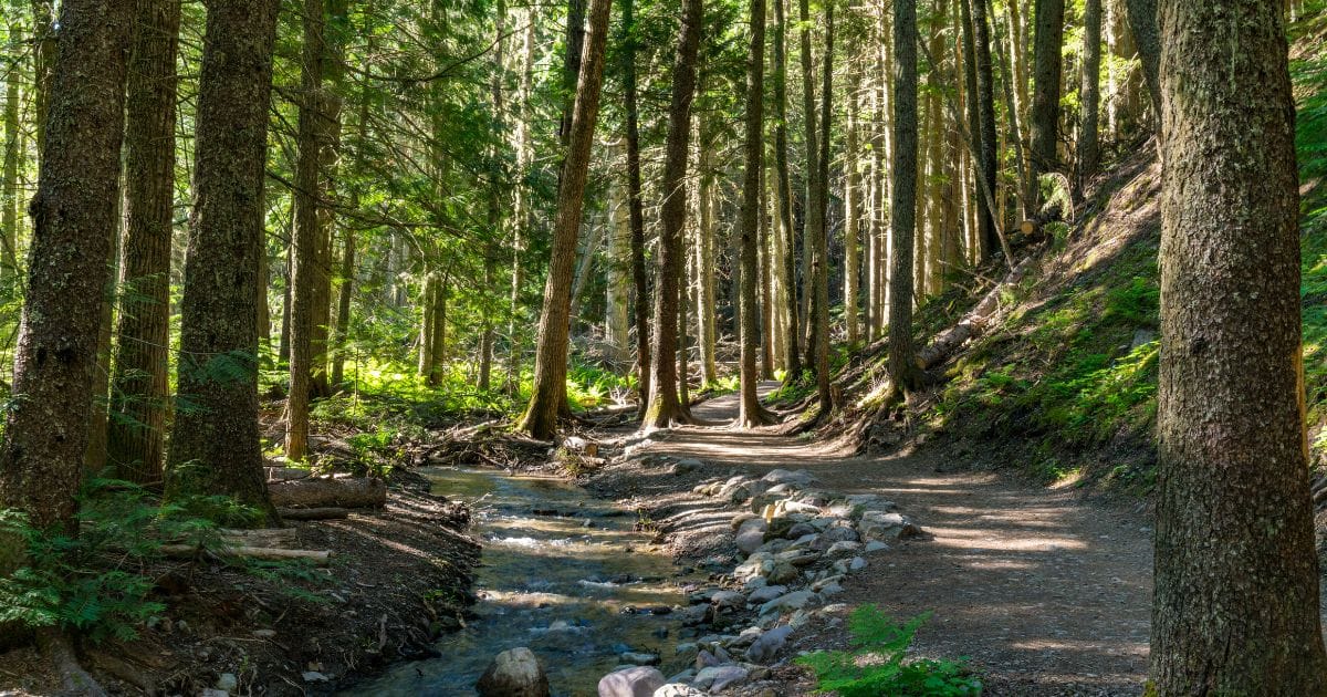 About Cheryl Marlene | Akashic Records & Spiritual Depth