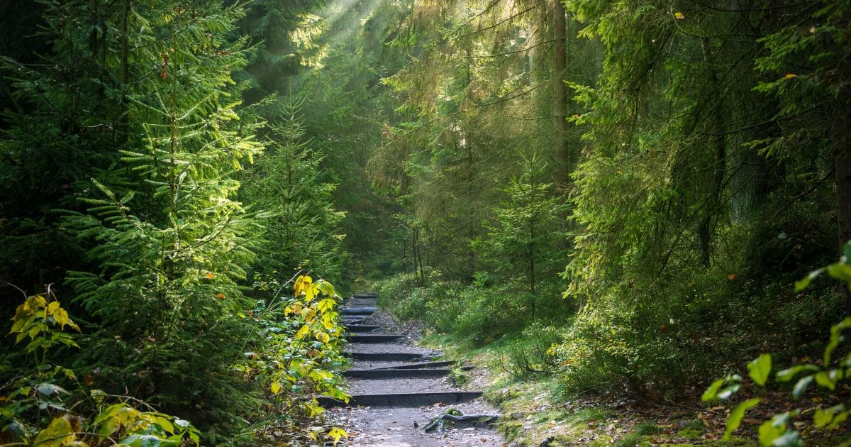 Work With Me | Cheryl Marlene