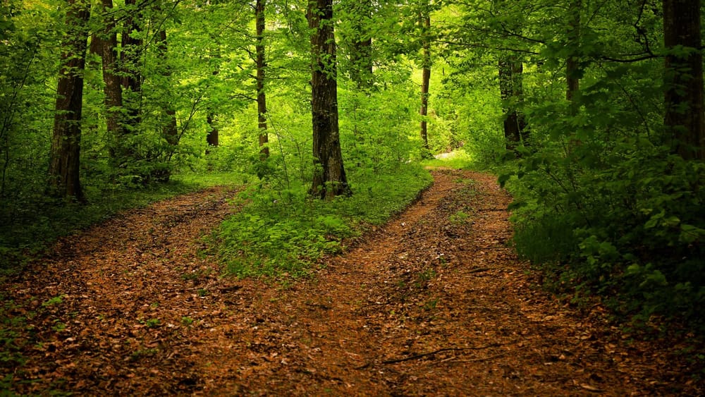 The Art of Being Seen and Seeing Others | Cheryl Marlene