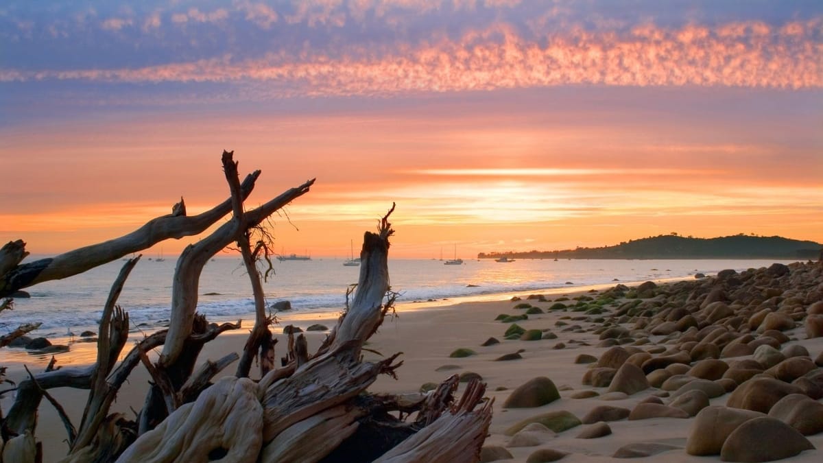 Threshold Codex | Cheryl Marlene