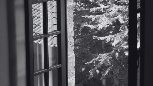 Questions Open Everything Workbook | Cheryl Marlene